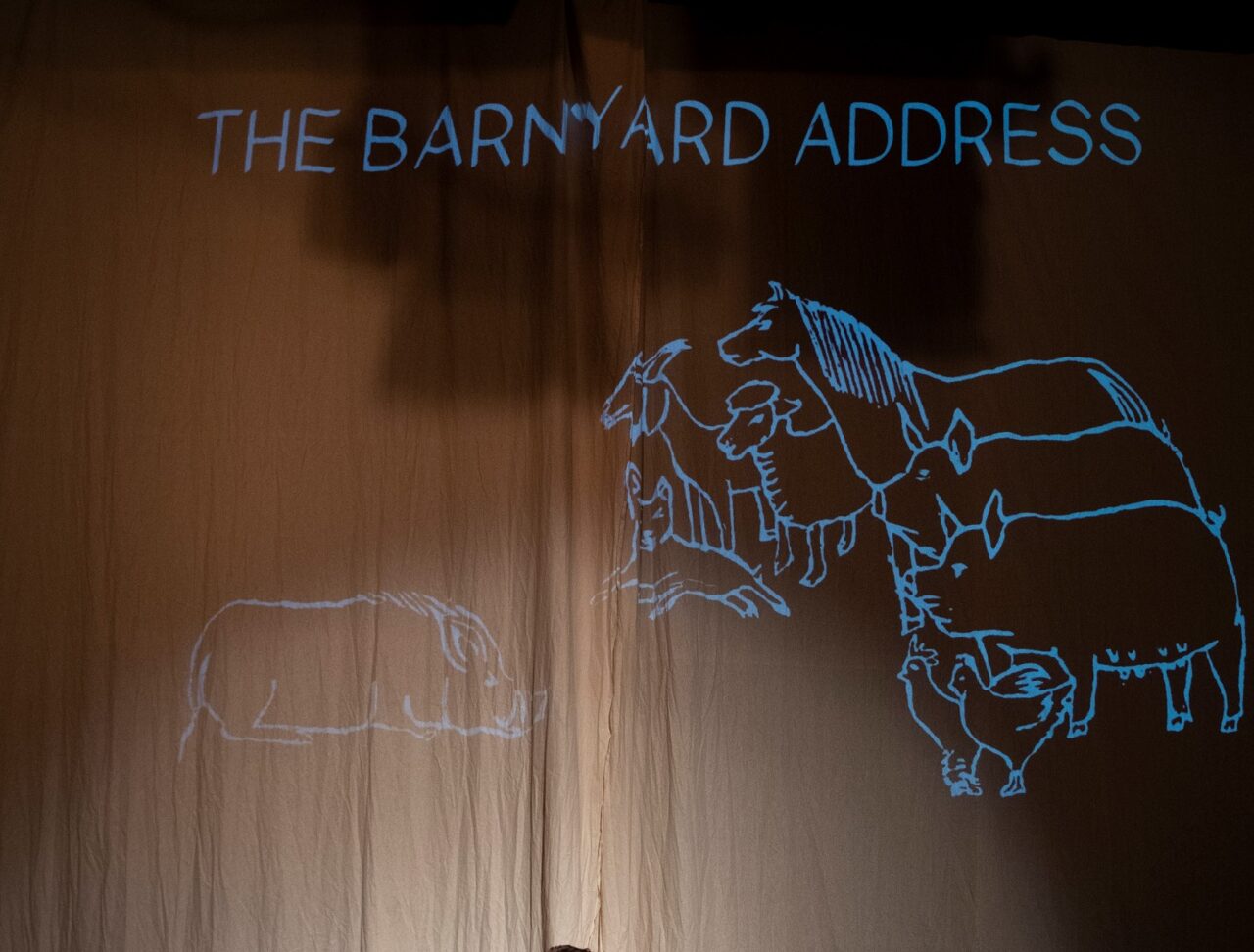 Animal Farm | New Theatre